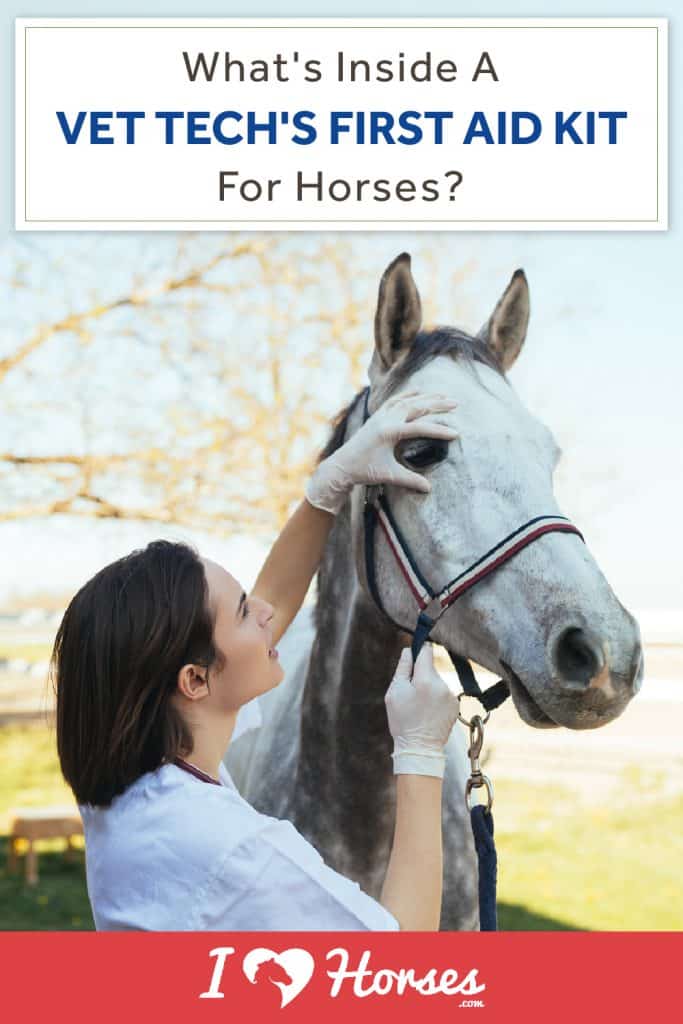 Inside A Vet Tech's First Aid Kit For Horses