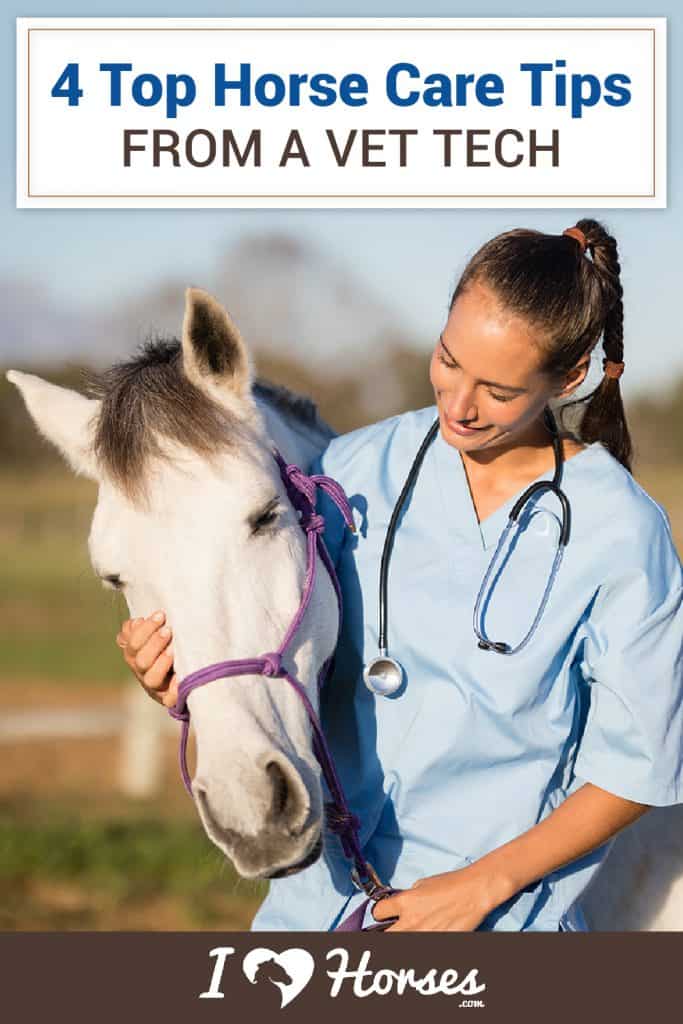 Top Horse Care Tips From A Vet Tech