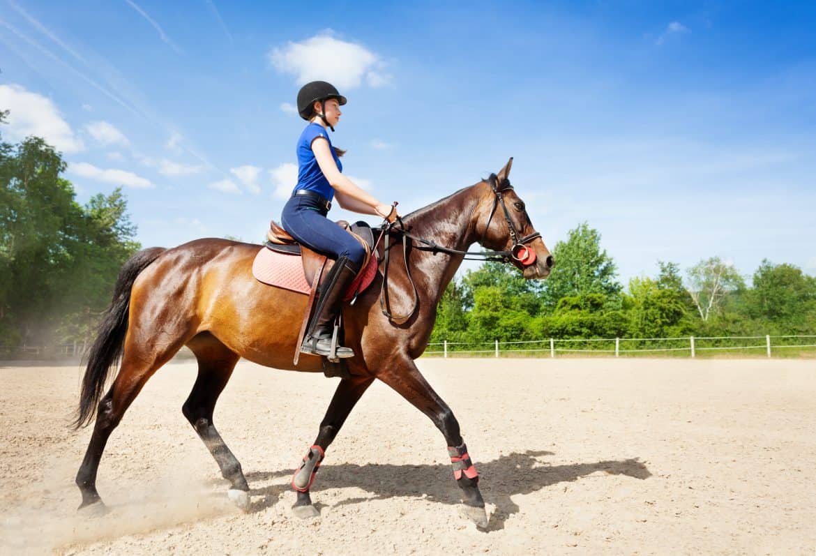 15 Important Ground Rules For Horse Safety