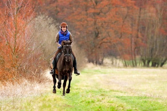 Learn How To Properly Canter On A Horse