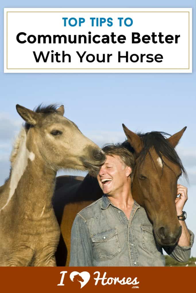 Tips For Better Communication With Your Horse
