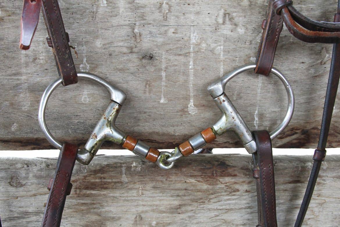 What Is A Snaffle Bit And How Does It Work?