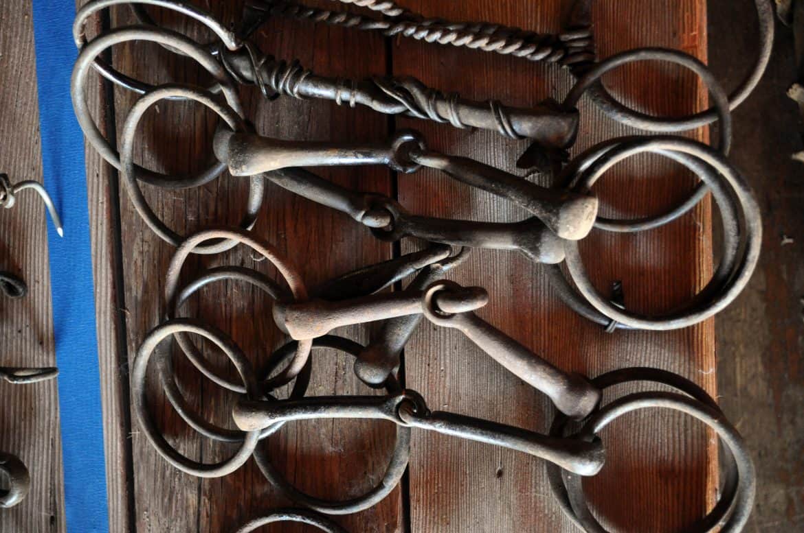 What Is A Snaffle Bit And How Does It Work?