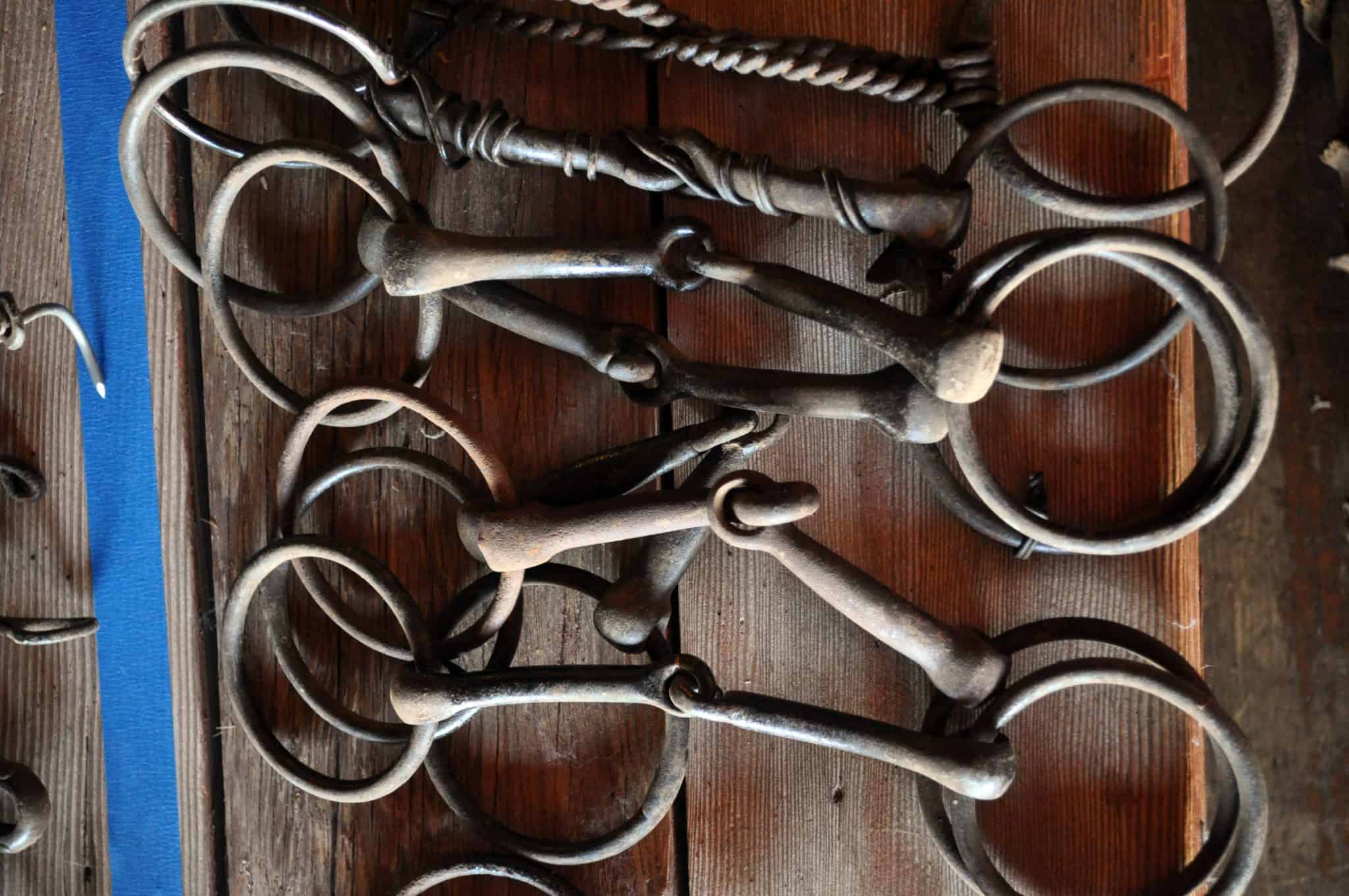 What Is A Snaffle Bit And How Does It Work?