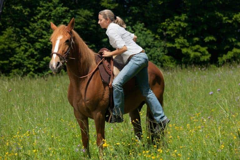 The Proper Way To Sit On A Horse And Why It's Important