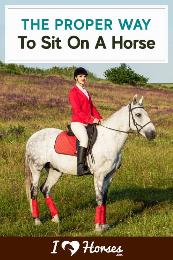 The Proper Way To Sit On A Horse And Why It's Important