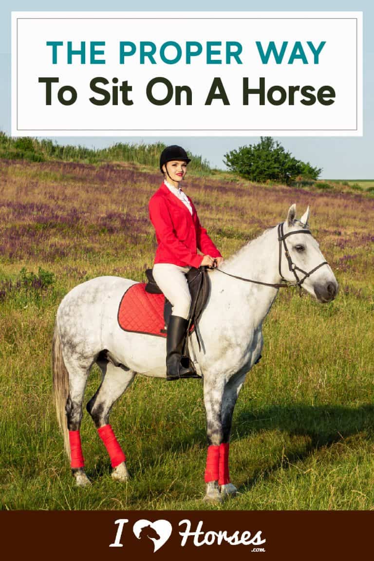 The Proper Way To Sit On A Horse And Why It's Important