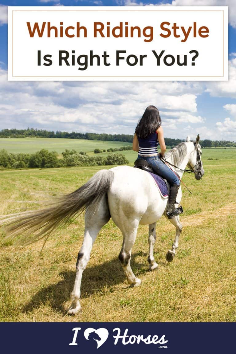 How Do I Know Which Riding Style Is Right For Me?