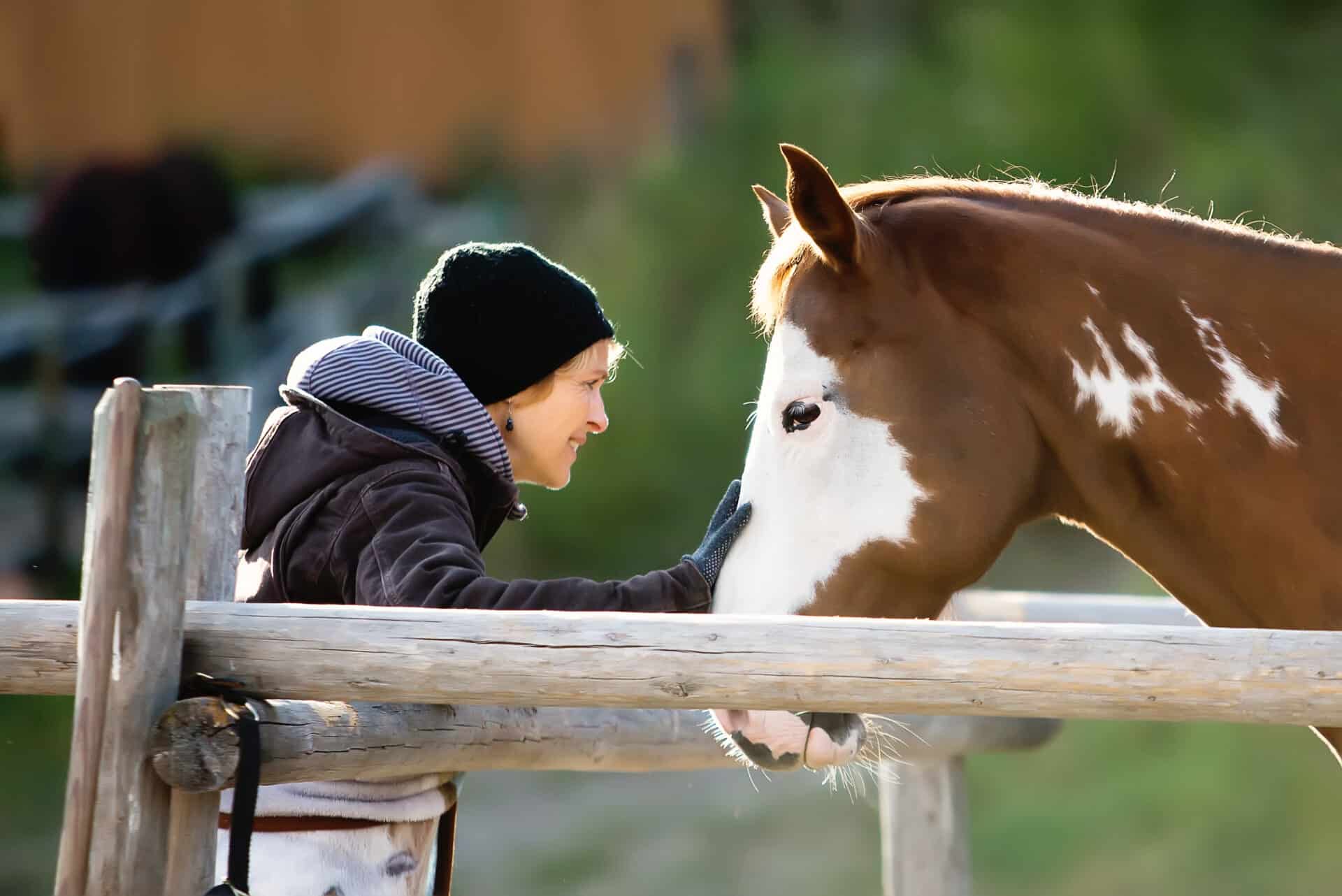 Are Horses Capable of Love?