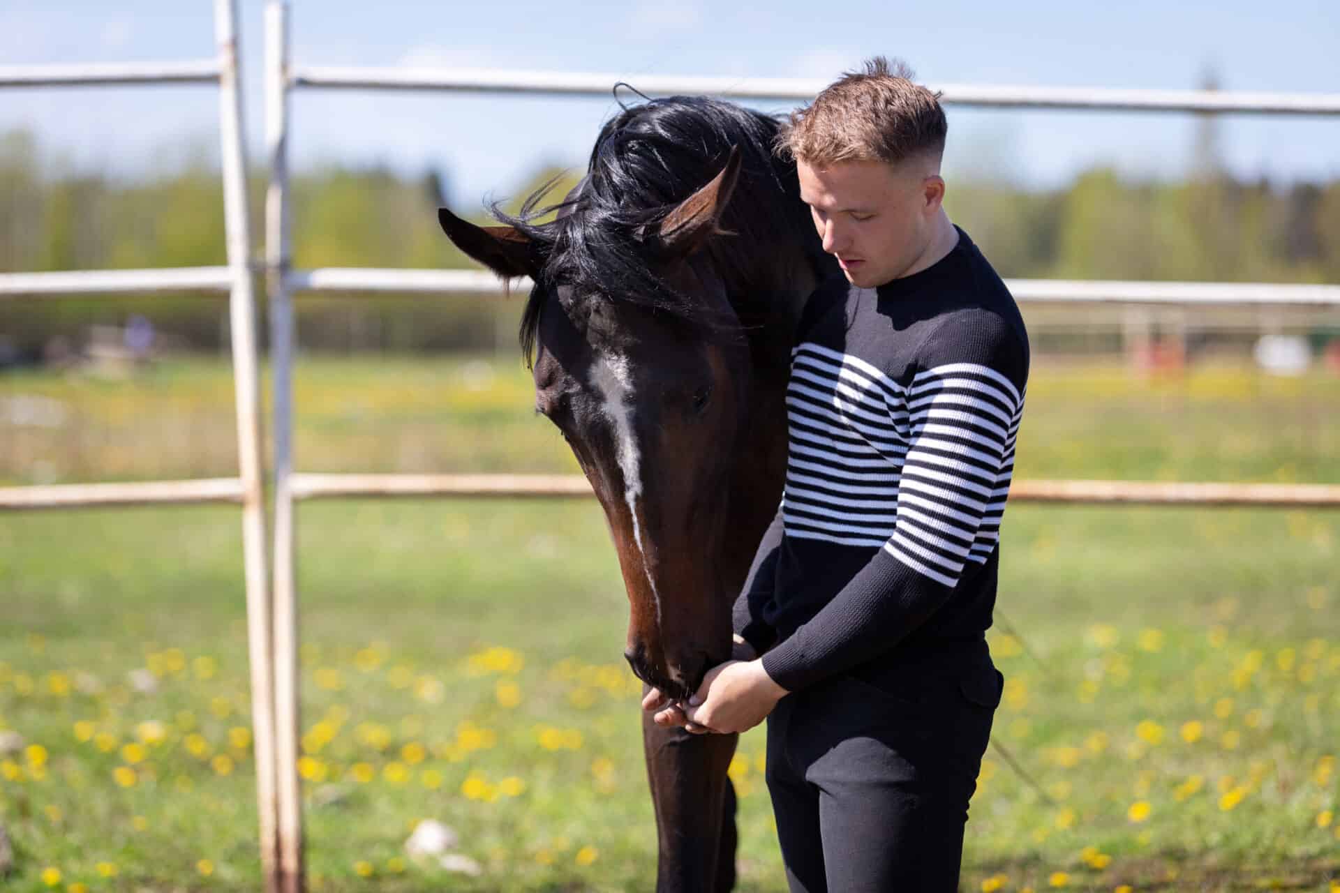 5 Reasons To Talk With Your Horse Every Day