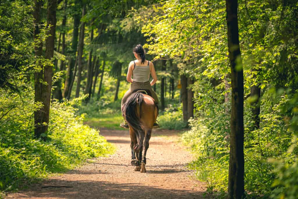 Do Horses Actually Like To Be Ridden?