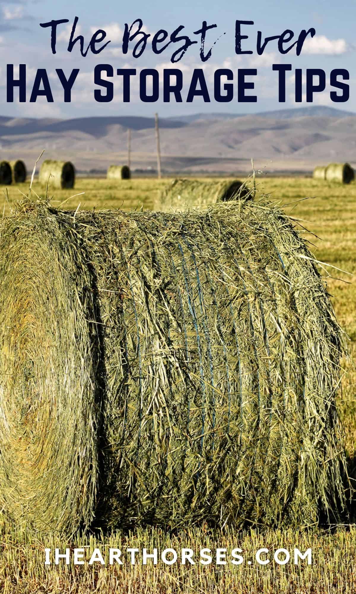 4 Proven Methods to Keep Hay Dry in Long Term Storage