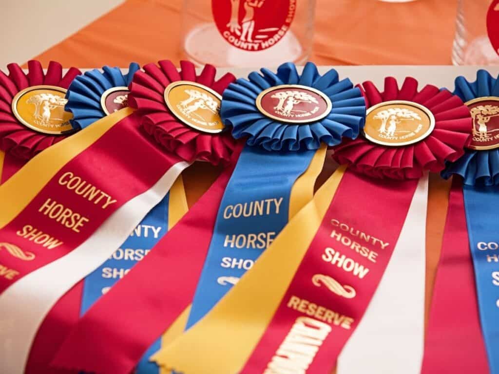 5 Unique Ways to Display Horse Show Ribbons in Your Home