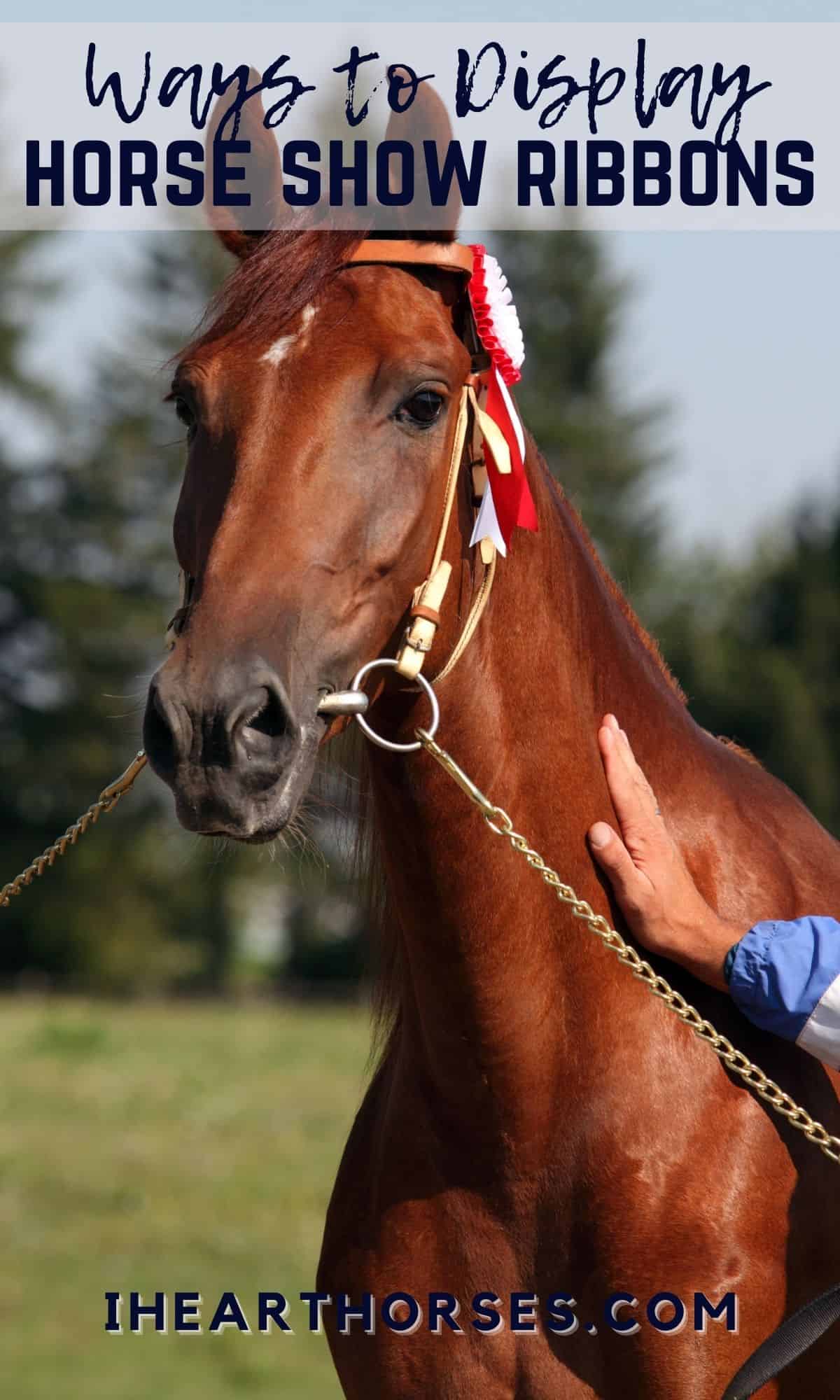 5 Unique Ways to Display Horse Show Ribbons in Your Home