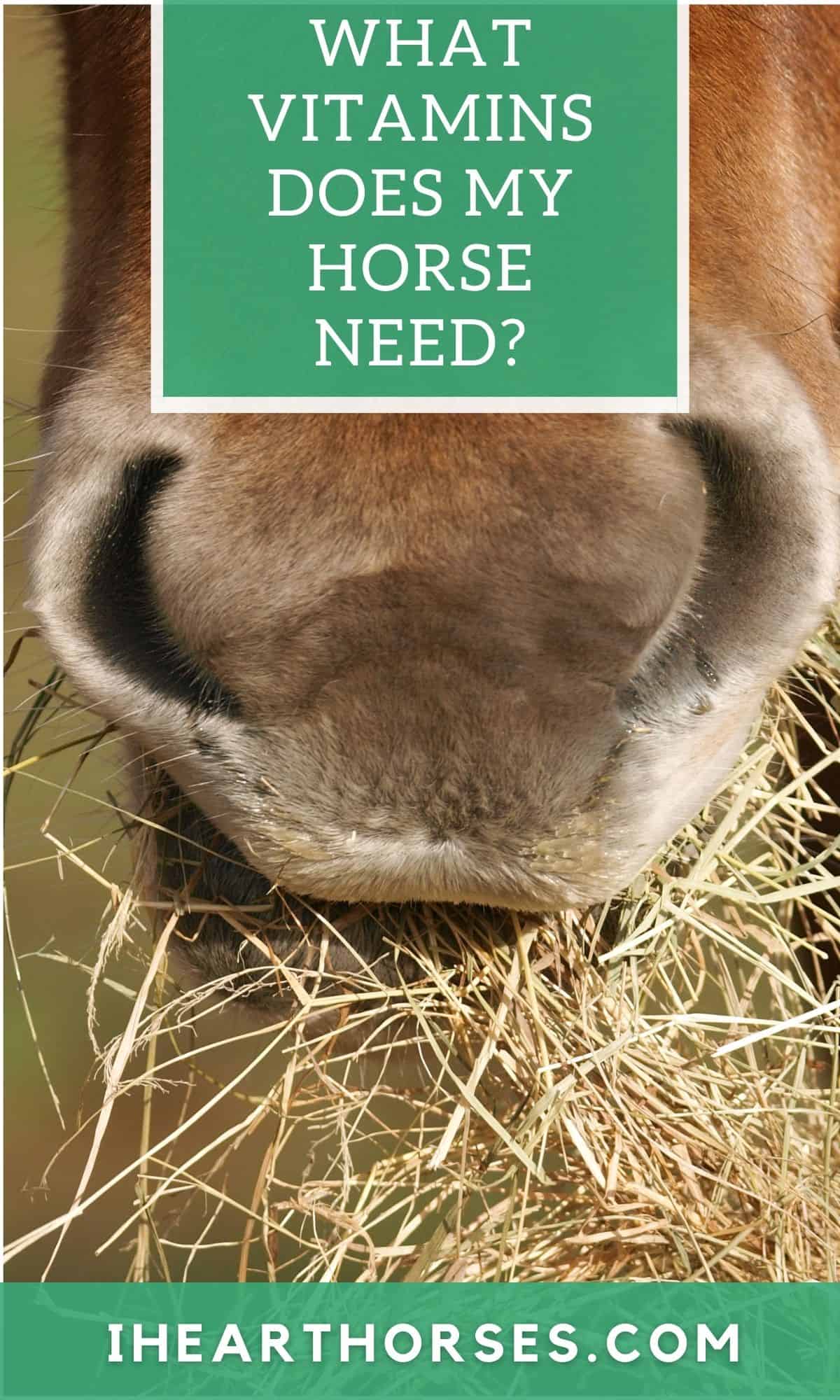 What Vitamins Do Horses Need for Optimum Health?