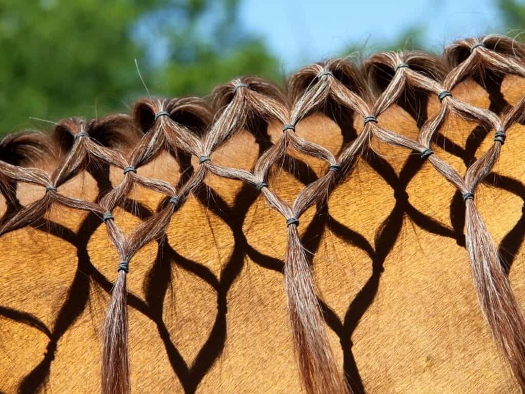 The Top 6 Best Mane Care Products on the Market