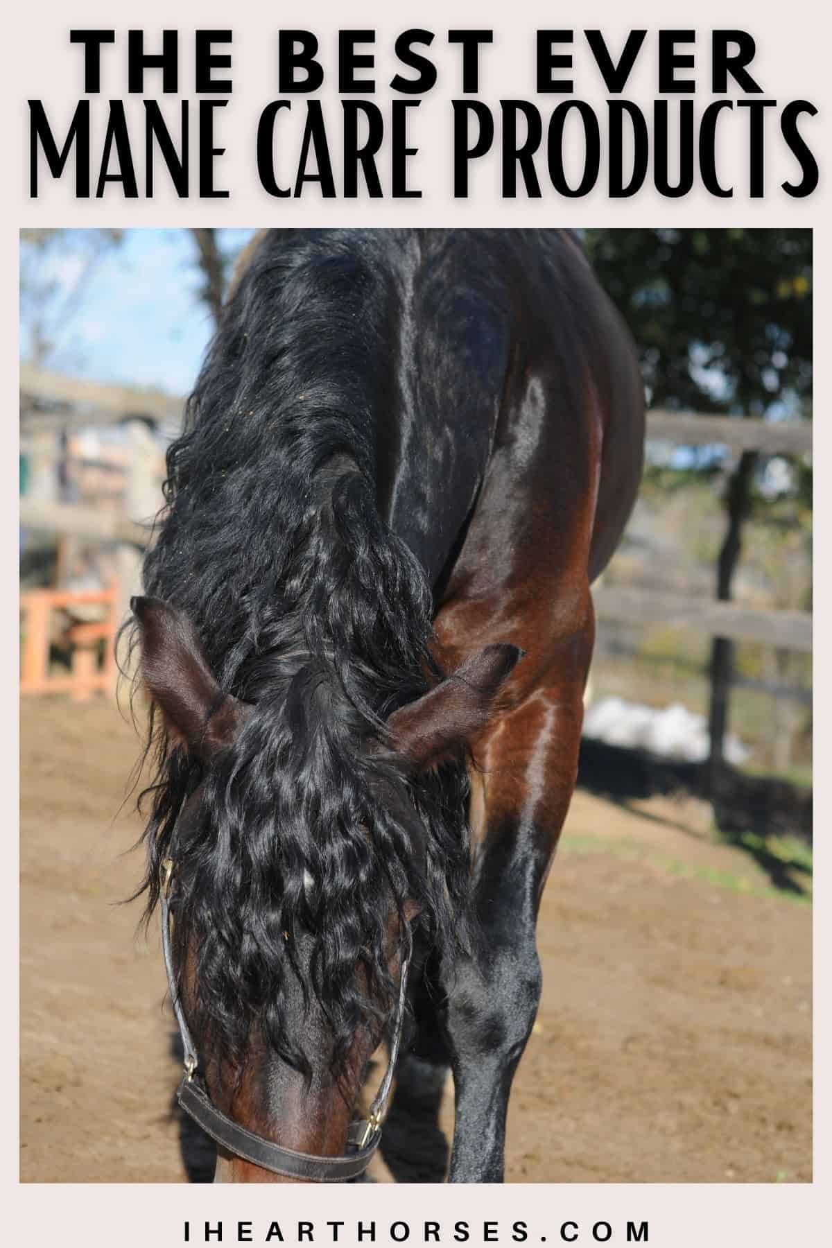 The Top 6 Best Mane Care Products on the Market