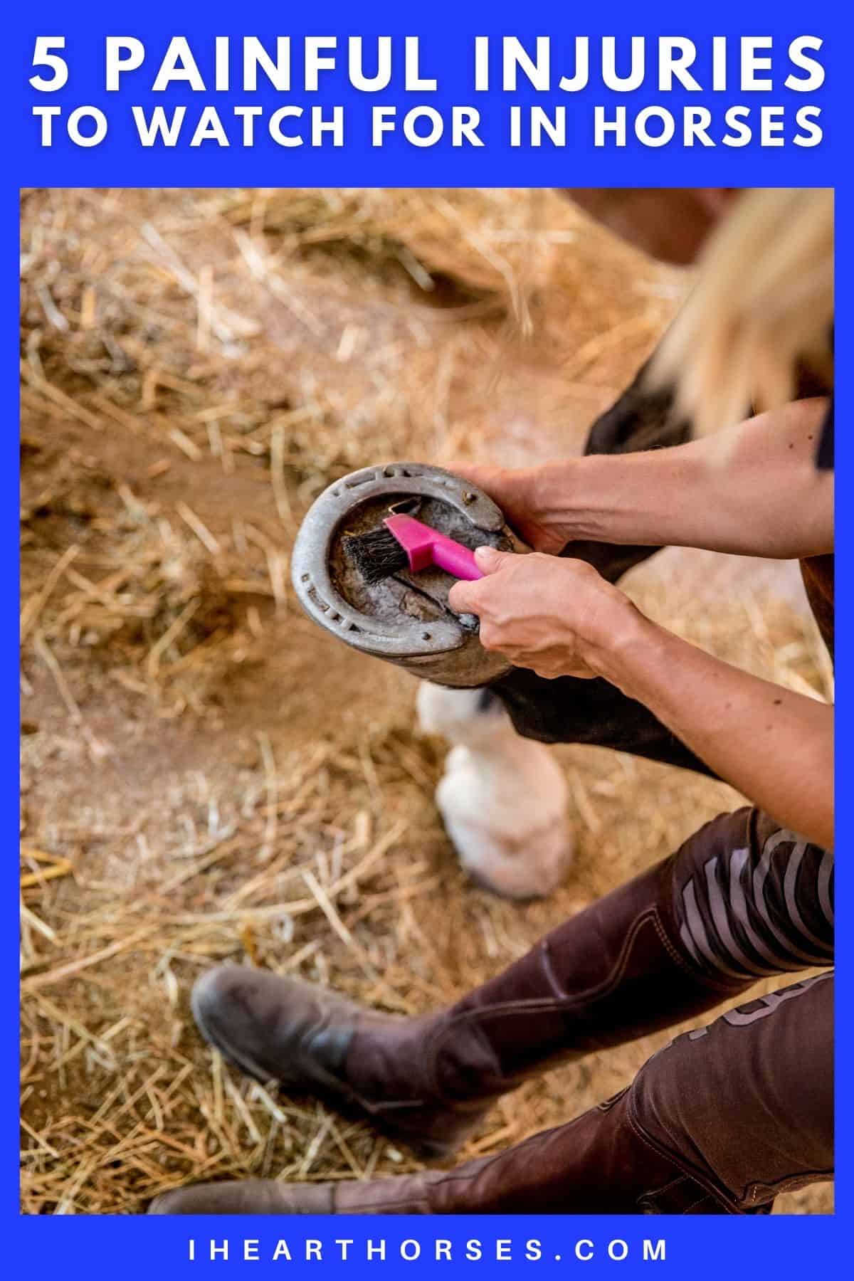 5 Painful Horse Injuries to Watch For and Treat Immediately