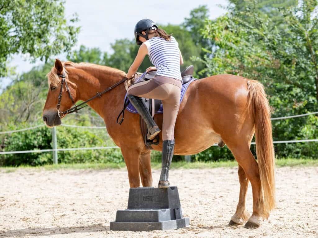 42 Fun Non-Riding Activities to Do With Your Horse
