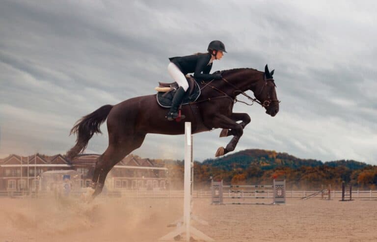 15 Fantastic Pictures of Horse's Jumping to Make You Smile