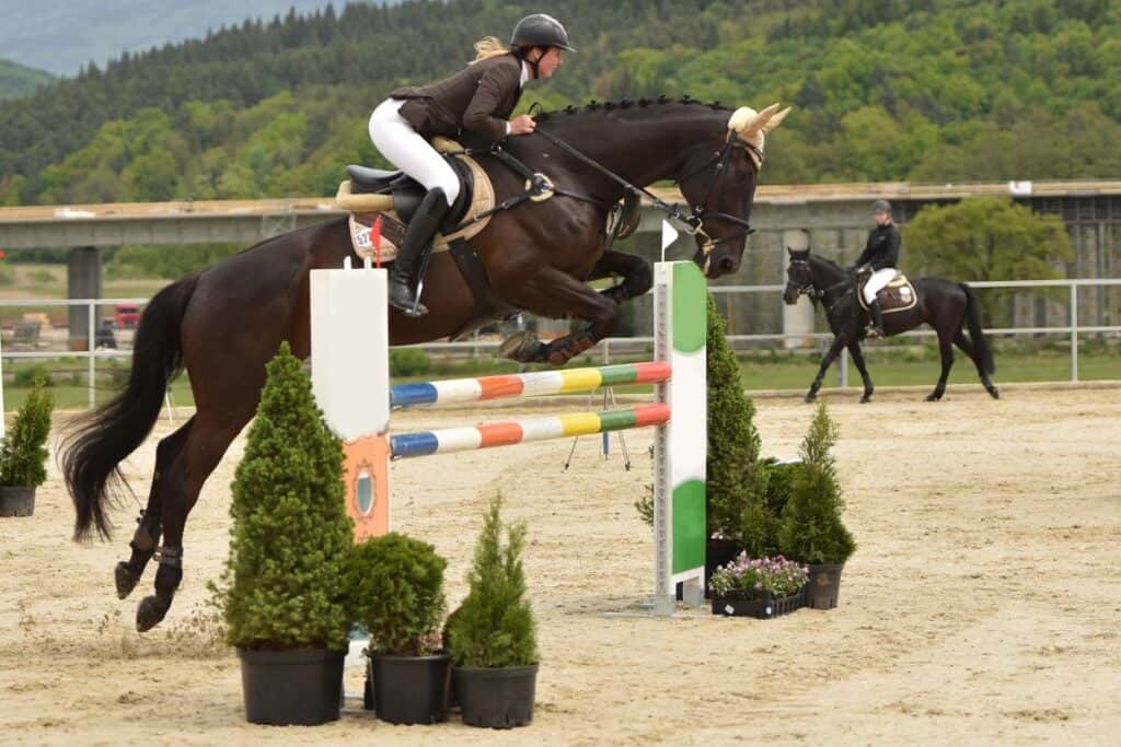 15 Fantastic Pictures of Horse's Jumping to Make You Smile
