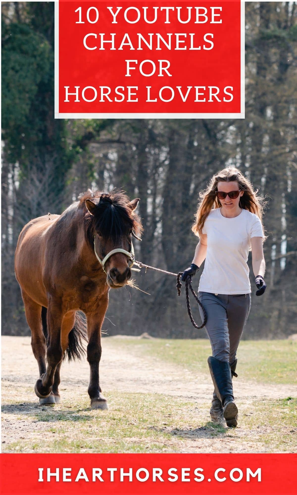 10 Top YouTube Channels for Horse Lovers