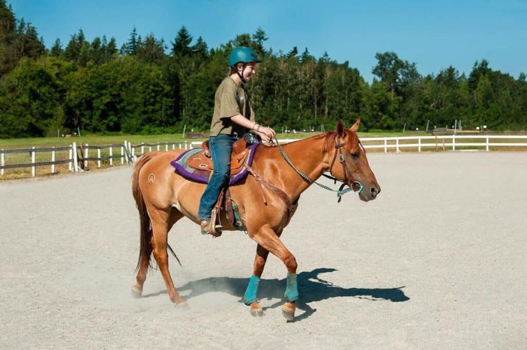 11 Best Horse Breeds for Barrel Racing