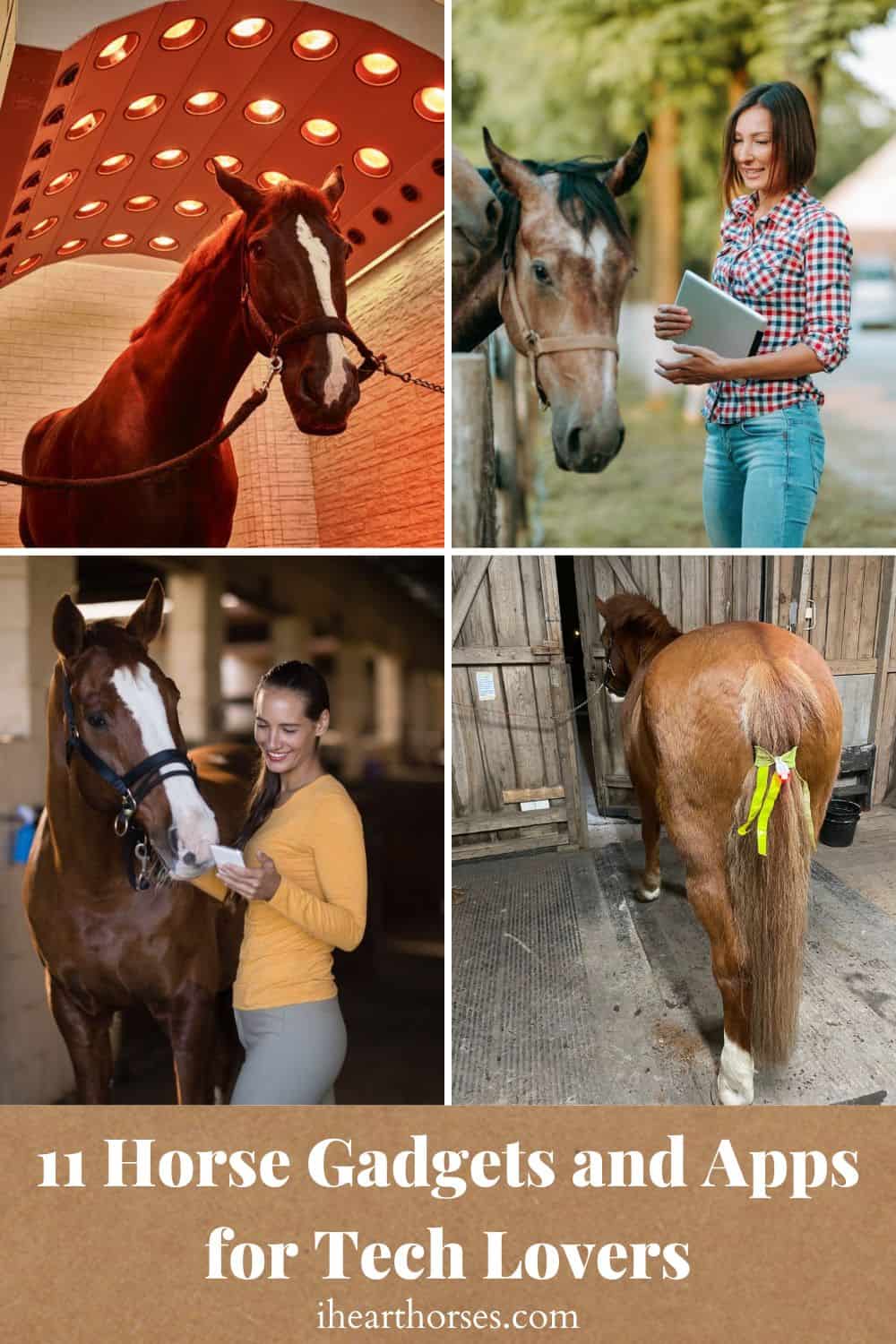 11 Horse Gadgets and Apps for Tech Lovers