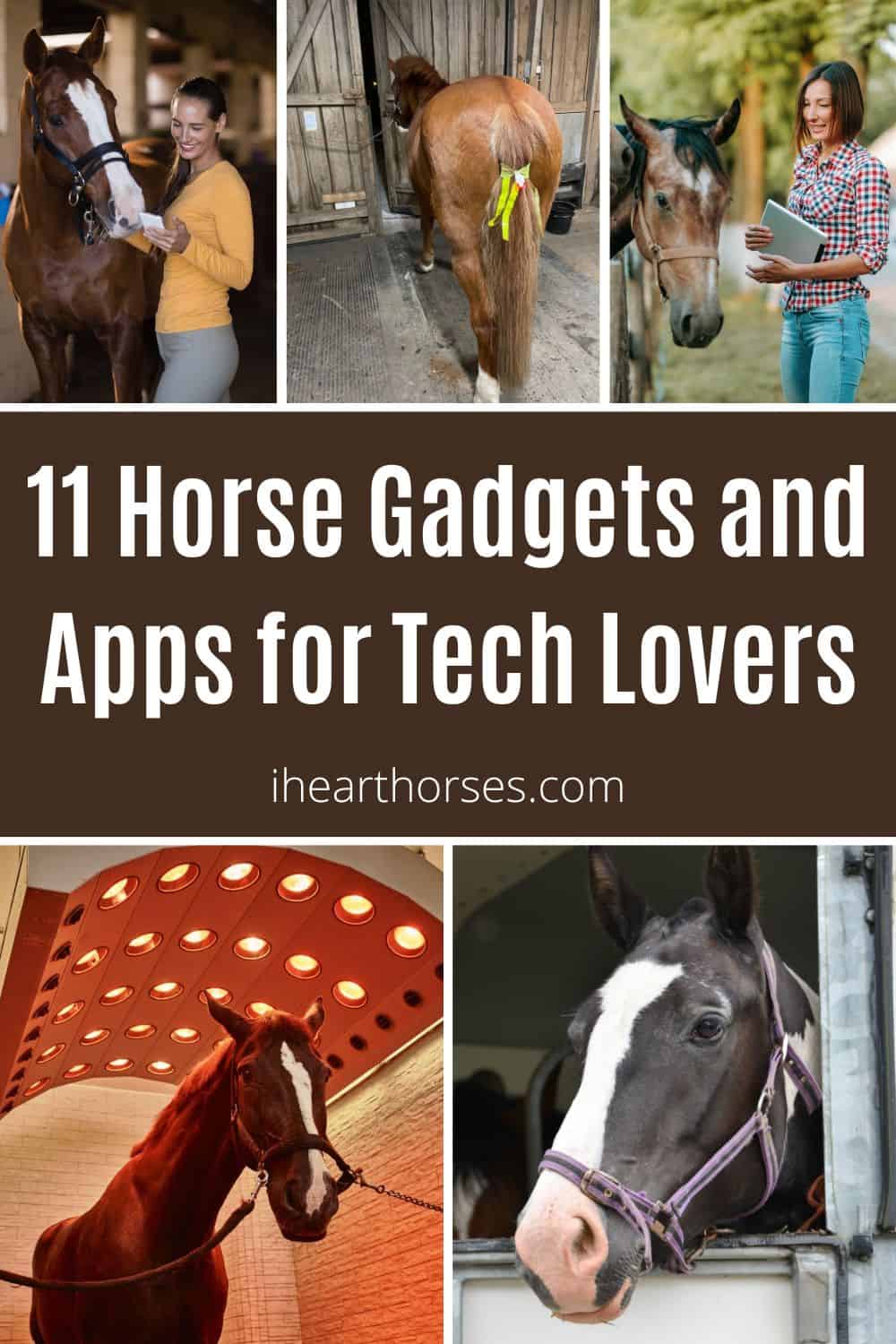 11 Horse Gadgets and Apps for Tech Lovers