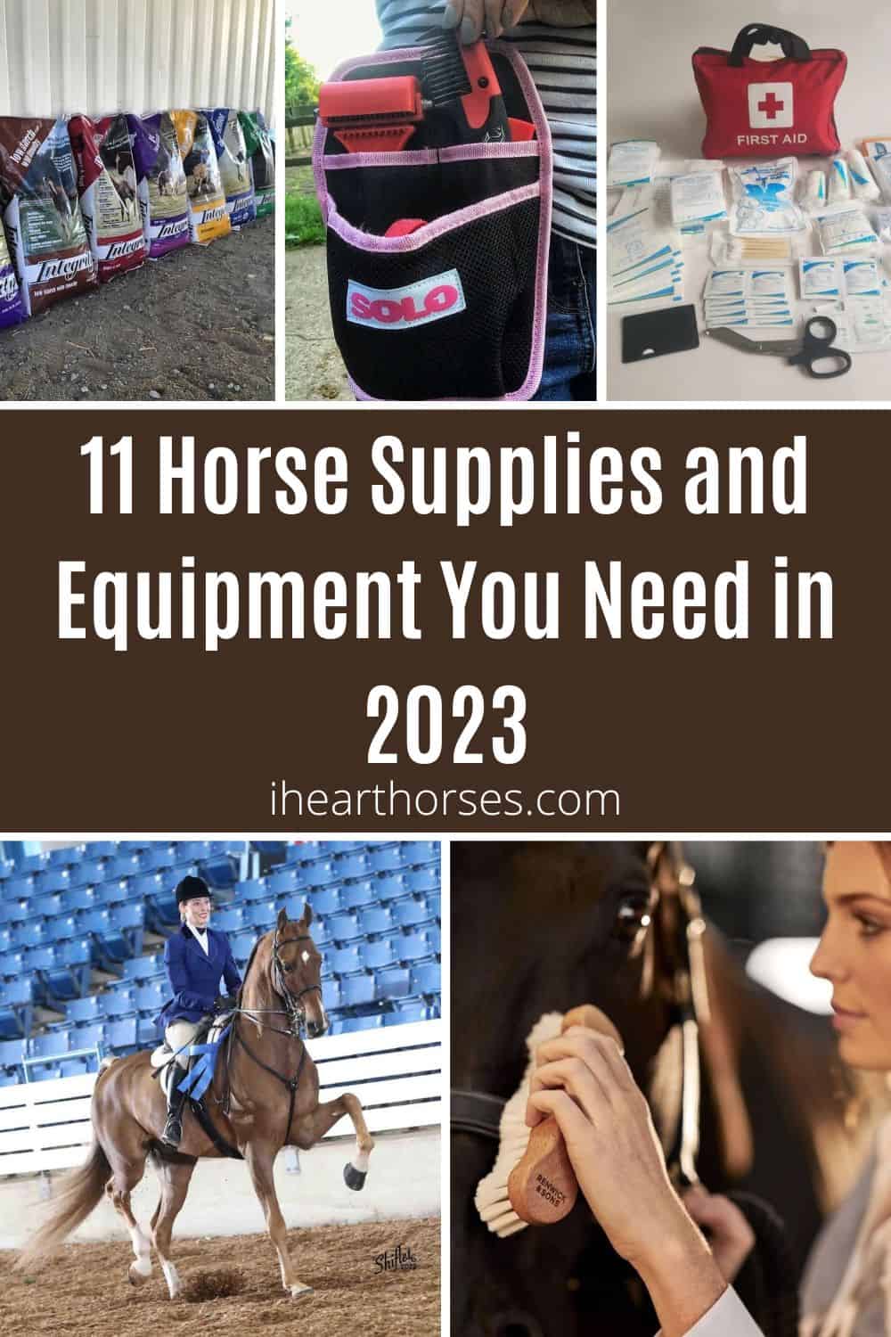 11 Horse Supplies and Equipment You Need in 2023