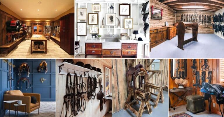 17 Tack Room Design and Organization Ideas