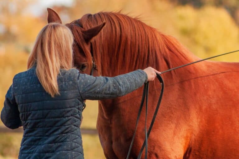 7 Proven Methods to Teach Your Horse to Stand Still