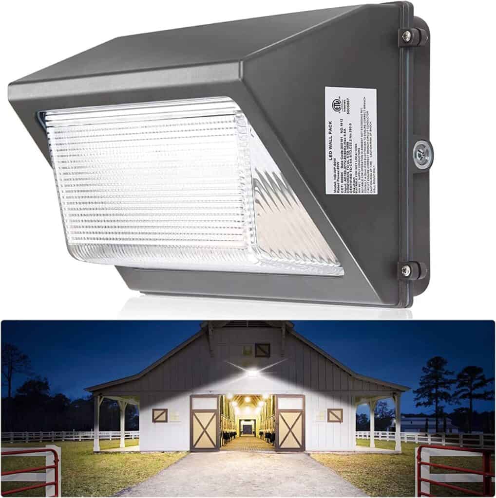 11 Horse Barn Lighting Ideas (Energy Efficient)