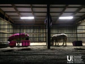 11 Horse Barn Lighting Ideas (Energy Efficient)