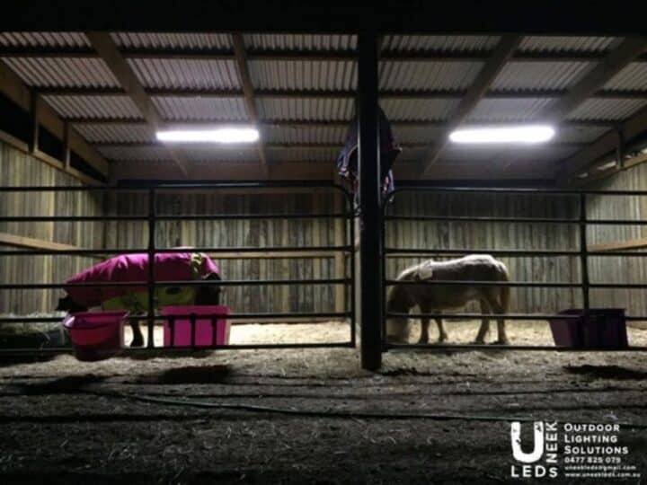 11 Horse Barn Lighting Ideas (Energy Efficient)