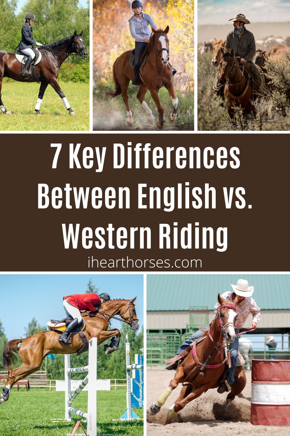 7 Key Differences Between English vs. Western Riding