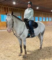 17 Magnificent Colorado Ranger Horses (Unique Photos)