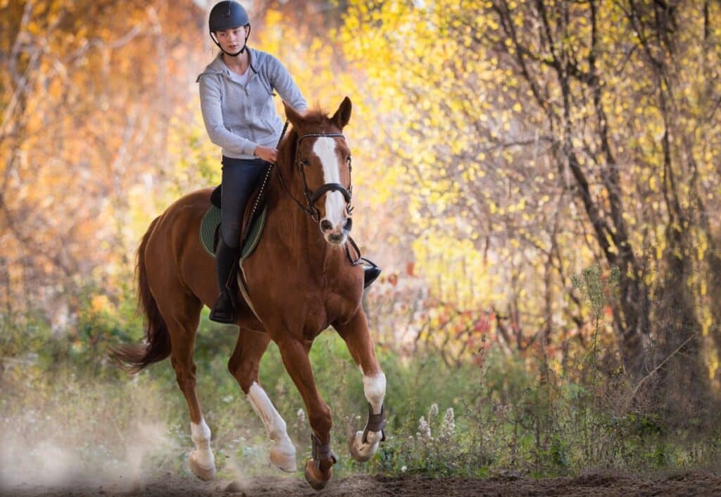 7 Key Differences Between English vs. Western Riding