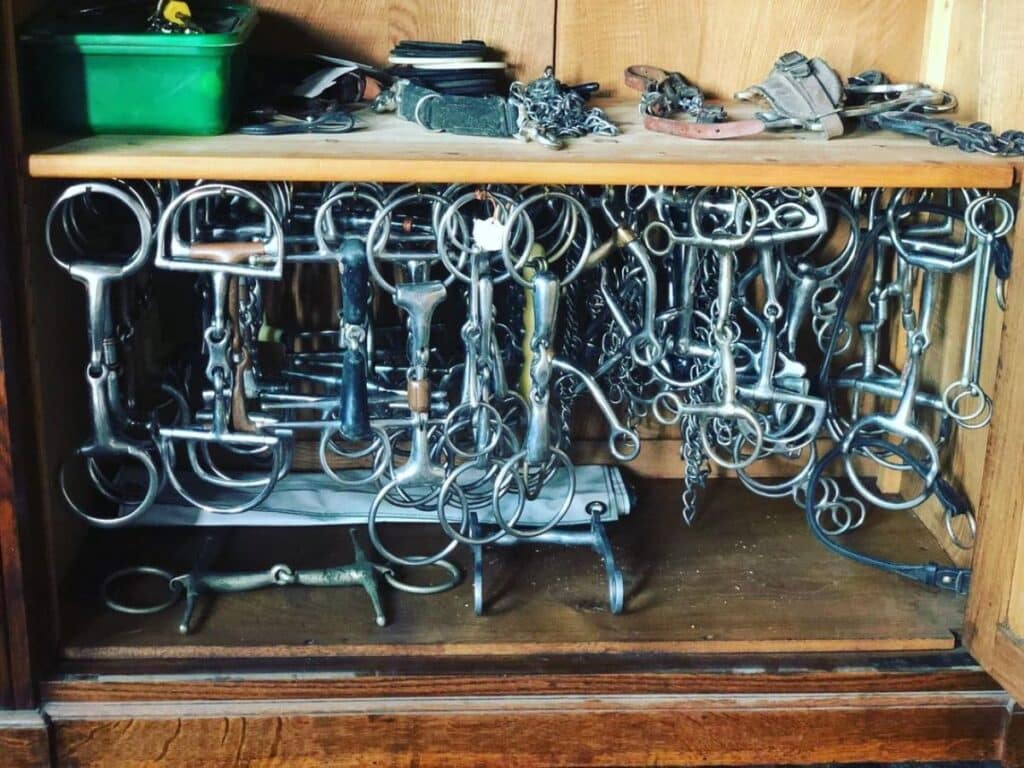 17 Tack Room Design and Organization Ideas