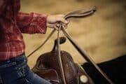 7 Key Differences Between English vs. Western Riding