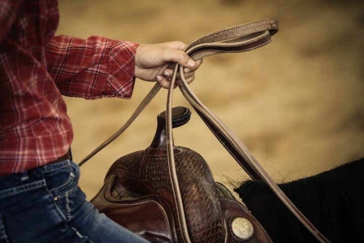 7 Key Differences Between English vs. Western Riding