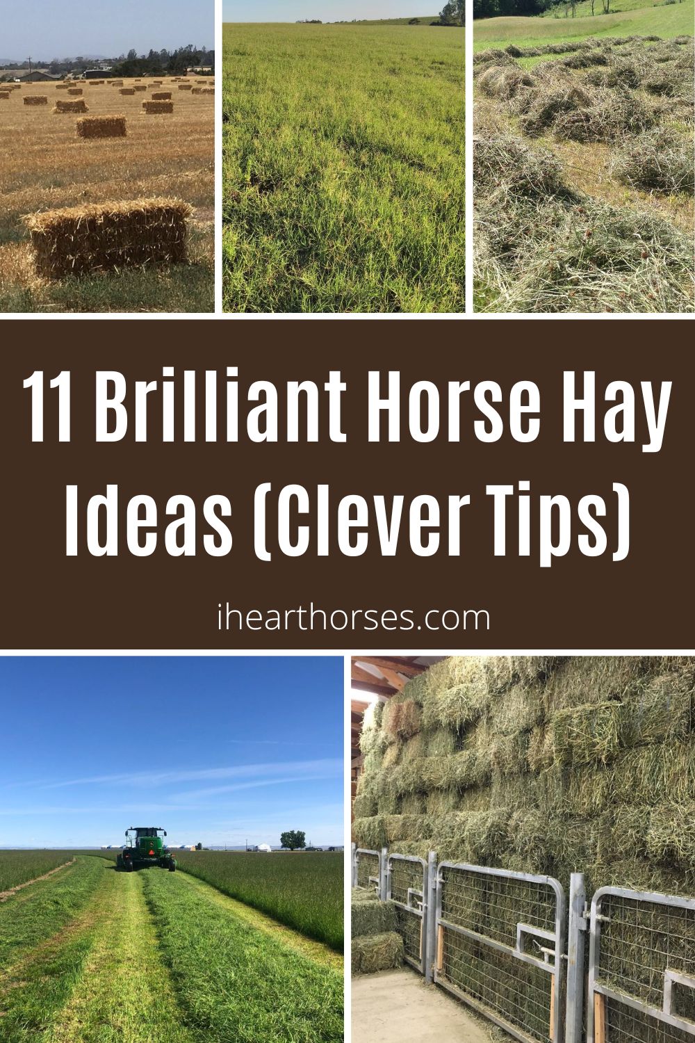 11 Brilliant Horse Hay Ideas (Clever Tips)