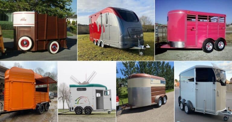 11 Spectacular Horse Trailer Paint Ideas (DIY)