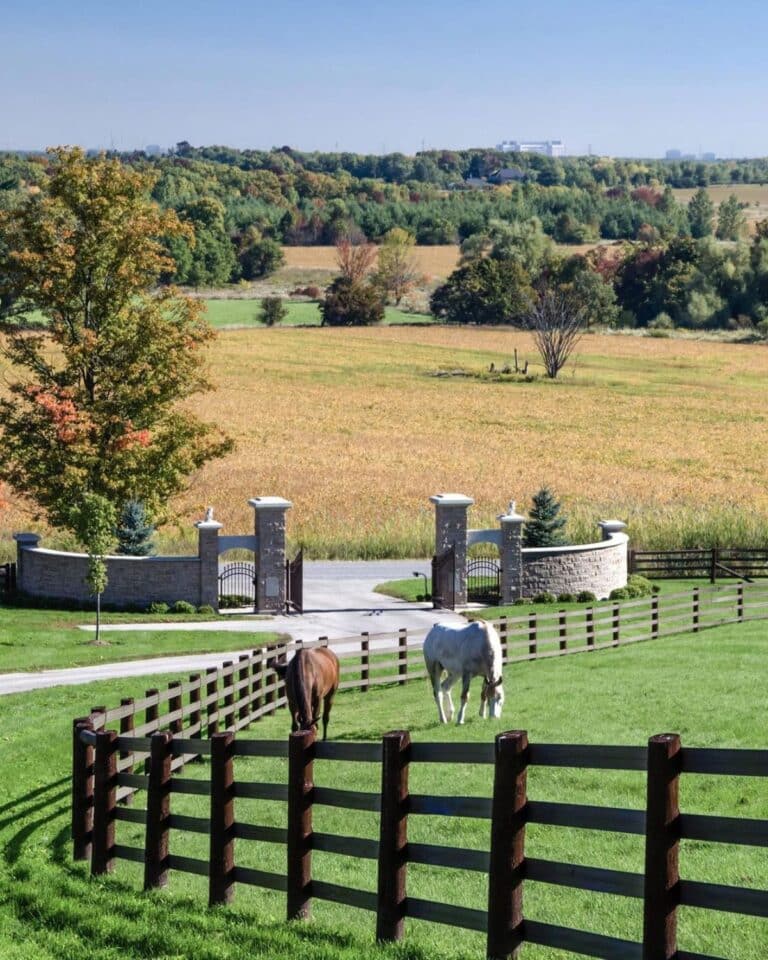 15 Beautiful Fencing Ideas for Horses (With Photos)