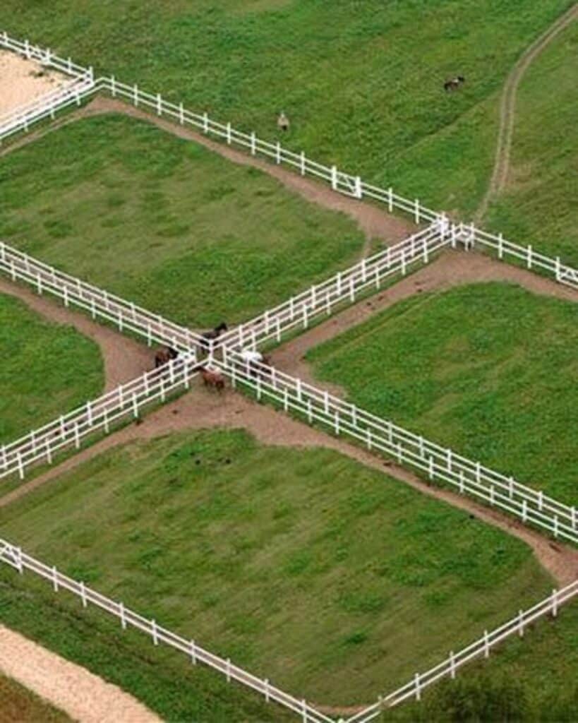 7 Horse Pasture Ideas To Inspire You (With Photos)