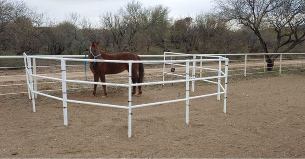 15 Beautiful Fencing Ideas for Horses (With Photos)