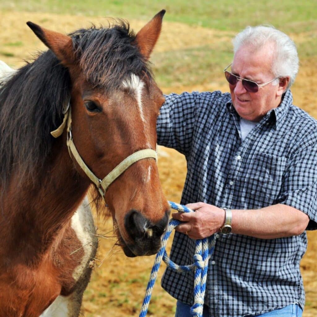 11 Best Horse Breeds for Wagons (With Photos)