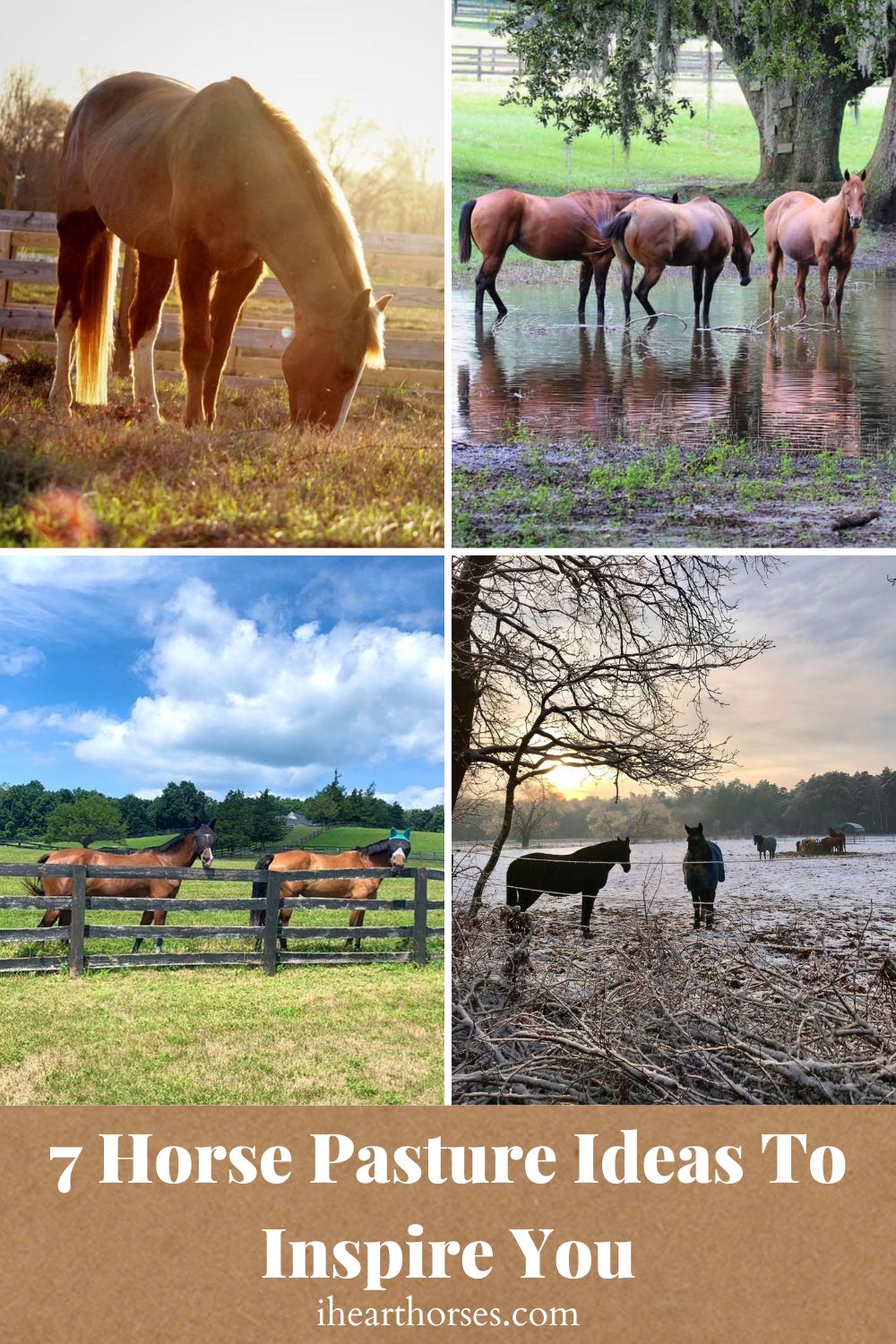 7 Horse Pasture Ideas To Inspire You (With Photos)