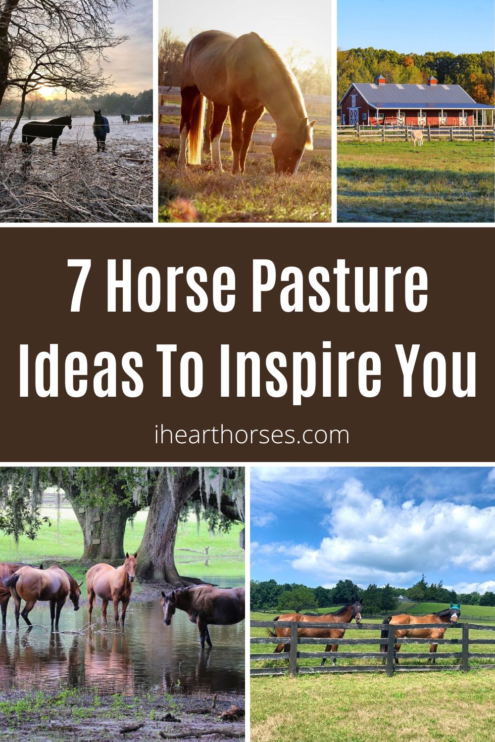 7 Horse Pasture Ideas To Inspire You (With Photos)