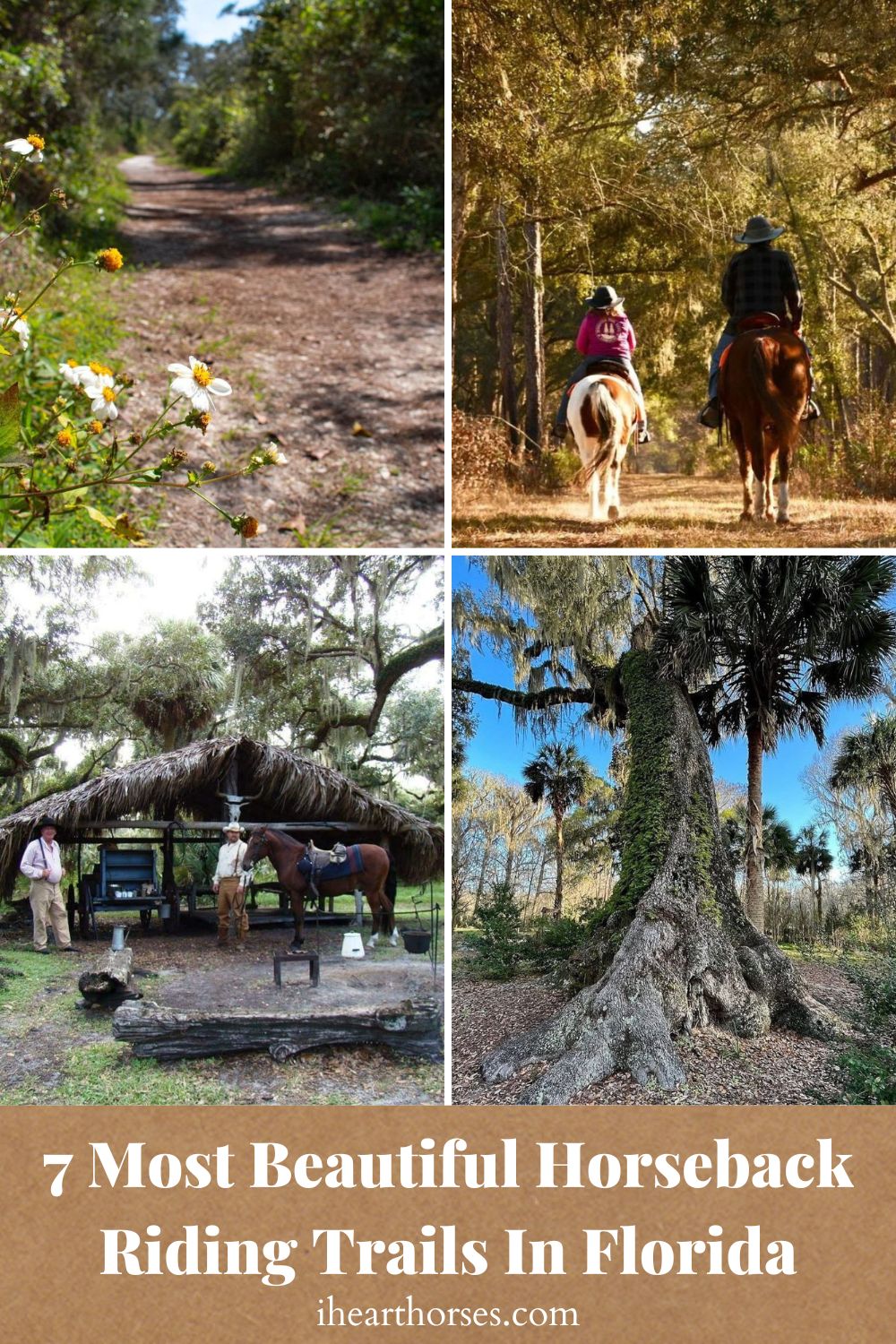 7 Most Beautiful Horseback Riding Trails In Florida